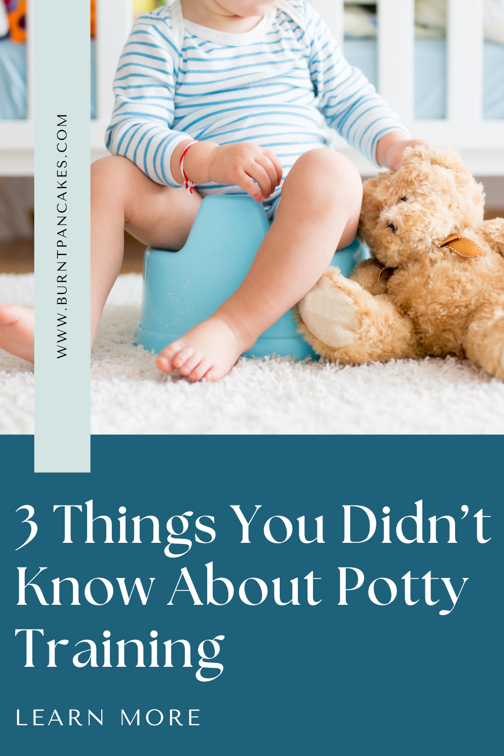 3 Things You Didn’t Know About Potty Training - Burnt Pancakes